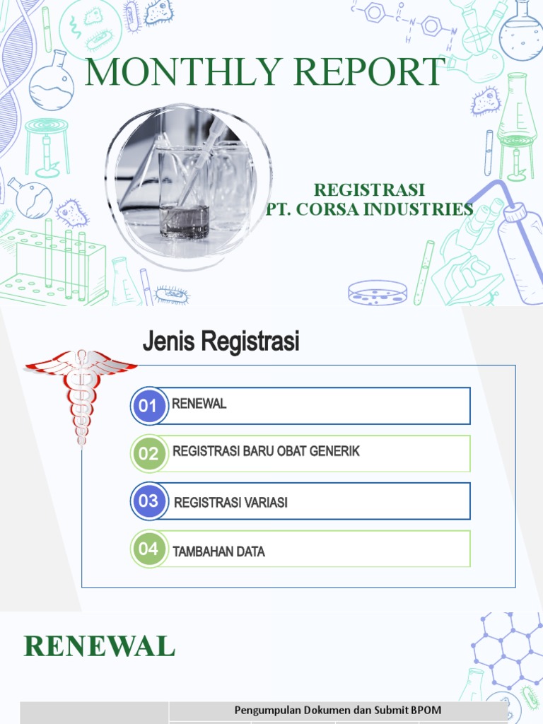 Monthly Report Beryl | PDF