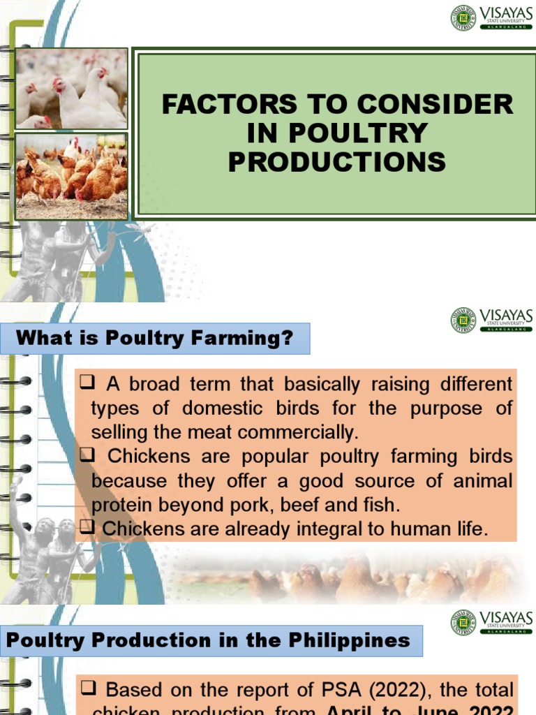 Factors To Consider in Poultry Productions | PDF | Chicken | Poultry