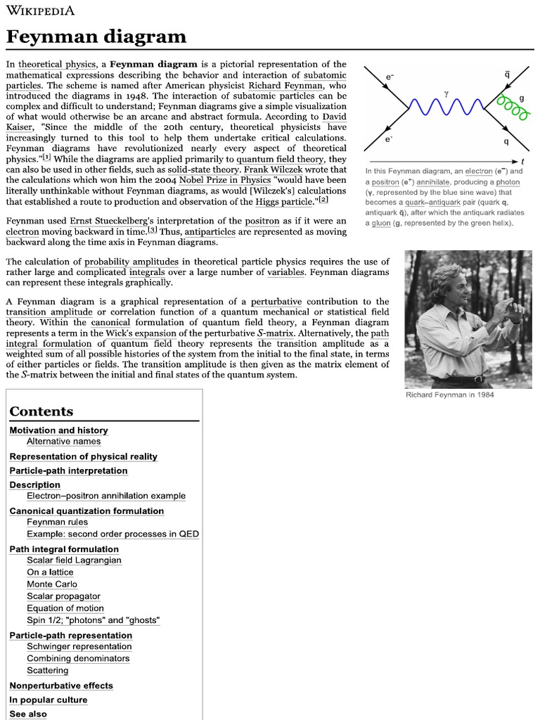 Feynman Diagram | PDF