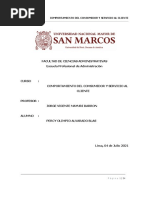 Modelo AS 78 Poder de Representacion | PDF