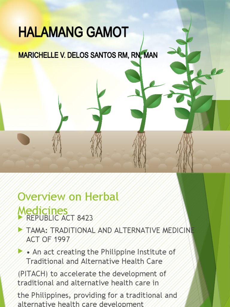 Halamang Gamot | PDF | Alternative Medicine | Health Movements