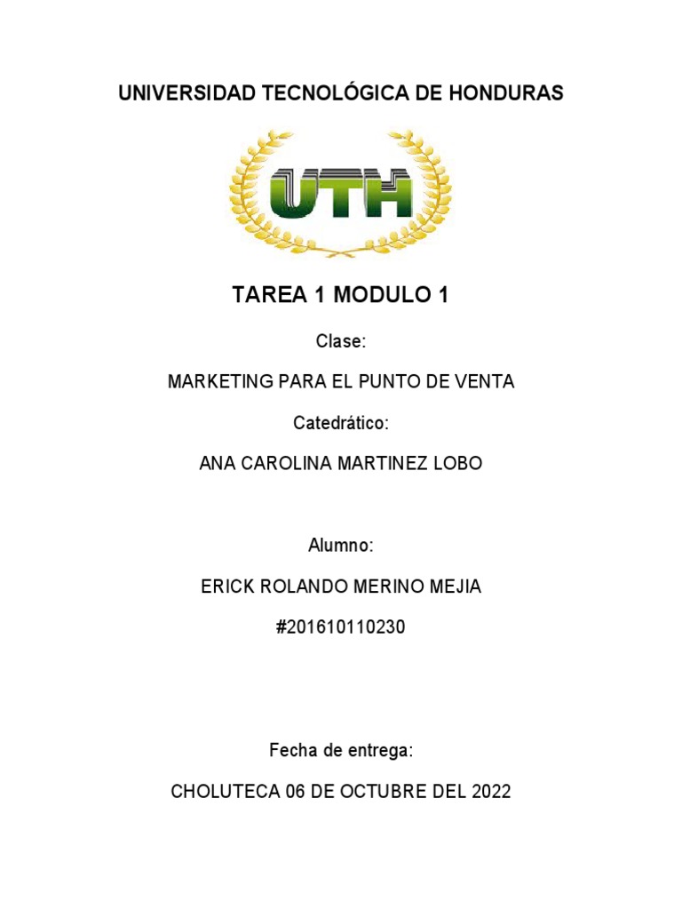 Tarea 1 Modulo 1 | PDF | Marketing | Producto (Negocio)