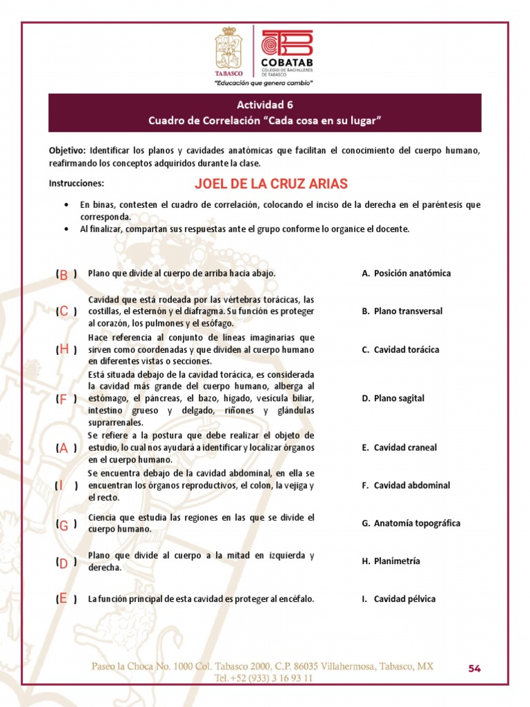 Actividad 6 - Cada Cosa en Su Lugar - Print | PDF | Abdomen | Tórax