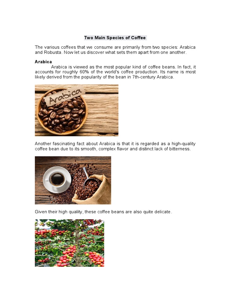 Two Main Species of Coffee | PDF