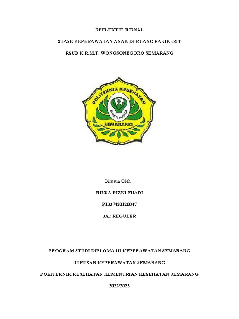 Refleksi Jurnal BRPN | PDF | Kesehatan Holistik