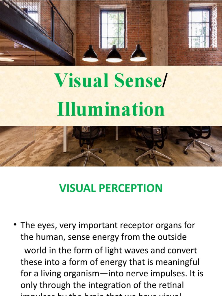 Lesson 2 - Visual Sense | PDF | Lighting | Perception