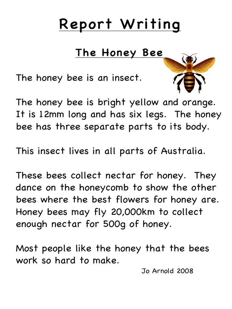 Honey Bee Report | PDF | Honey | Bees