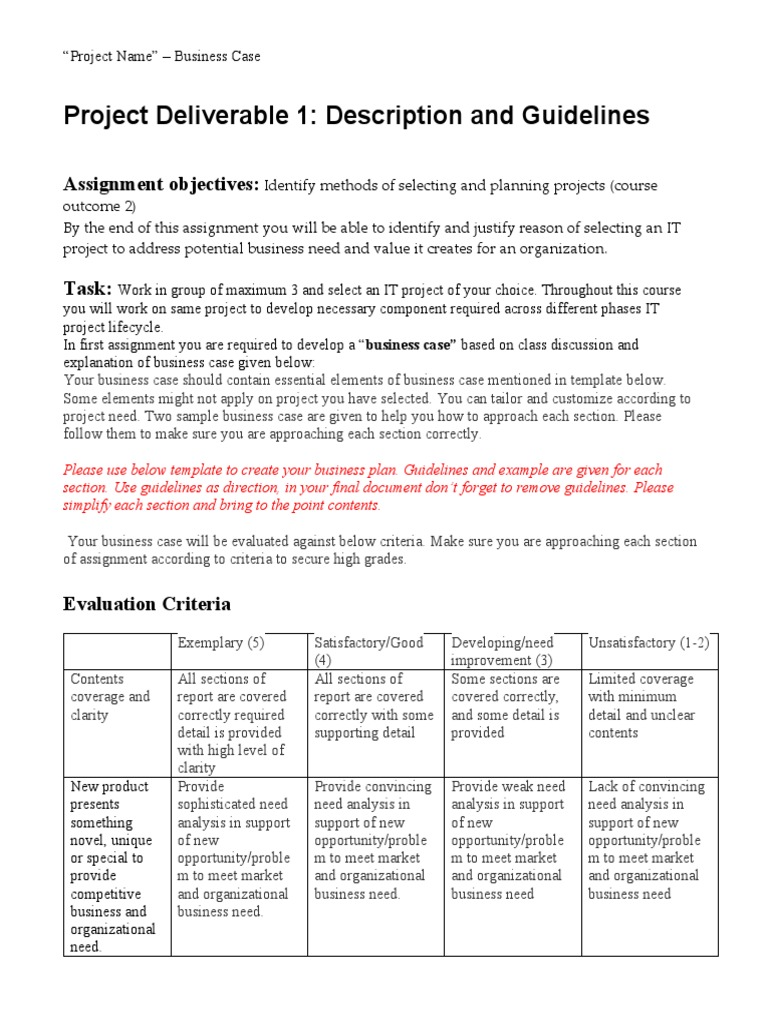 Delv#1-Description - IT Business Case Template | PDF | Project ...