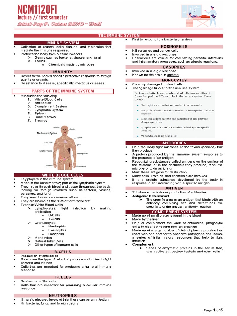 IMMUNE SYSTEM Notes Midterms | PDF | Immune System | Lymphatic System