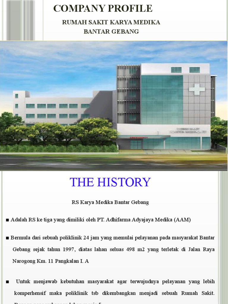 Comp Profile RSKM BG | PDF