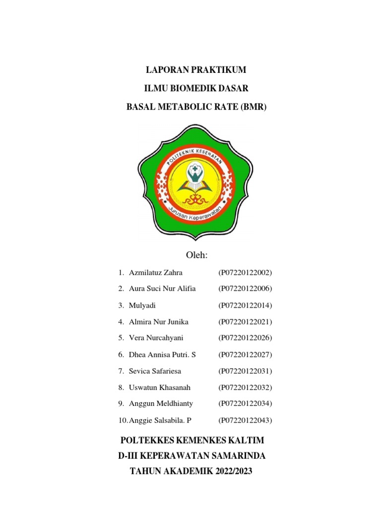 Laporan Pratikum BMR | PDF