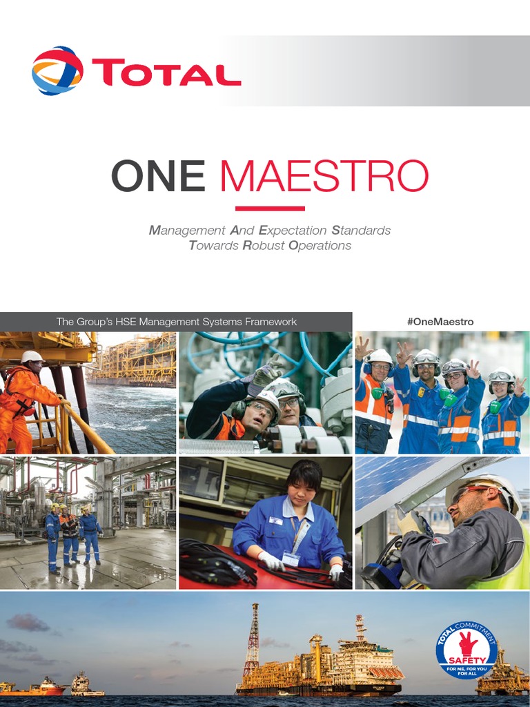 One Maestro | PDF | Risk | Audit