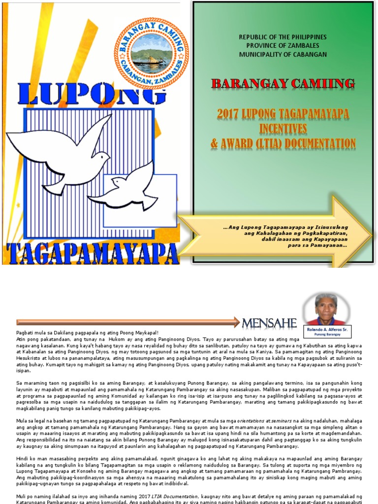 Ltia 2017 Brgy. Camiing | PDF