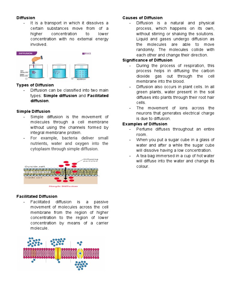 Diffusion and Osmosis | Download Free PDF | Osmosis | Diffusion