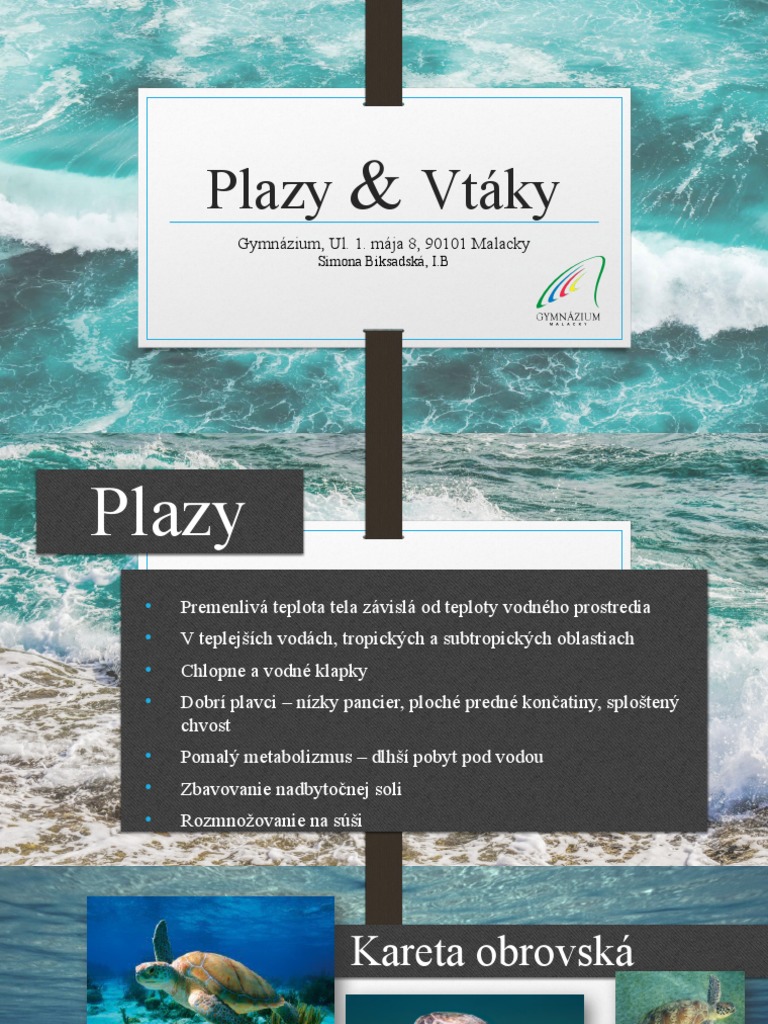 Plazy & Vtáky | PDF