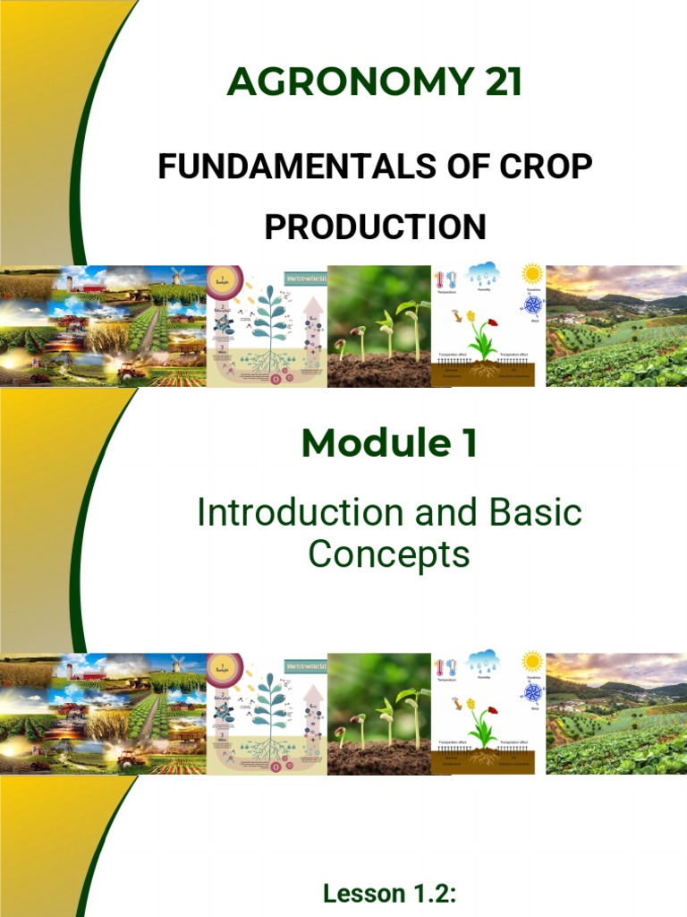 Lesson 1.2 Economic vs. Biological Yields of Crops and The Factors ...