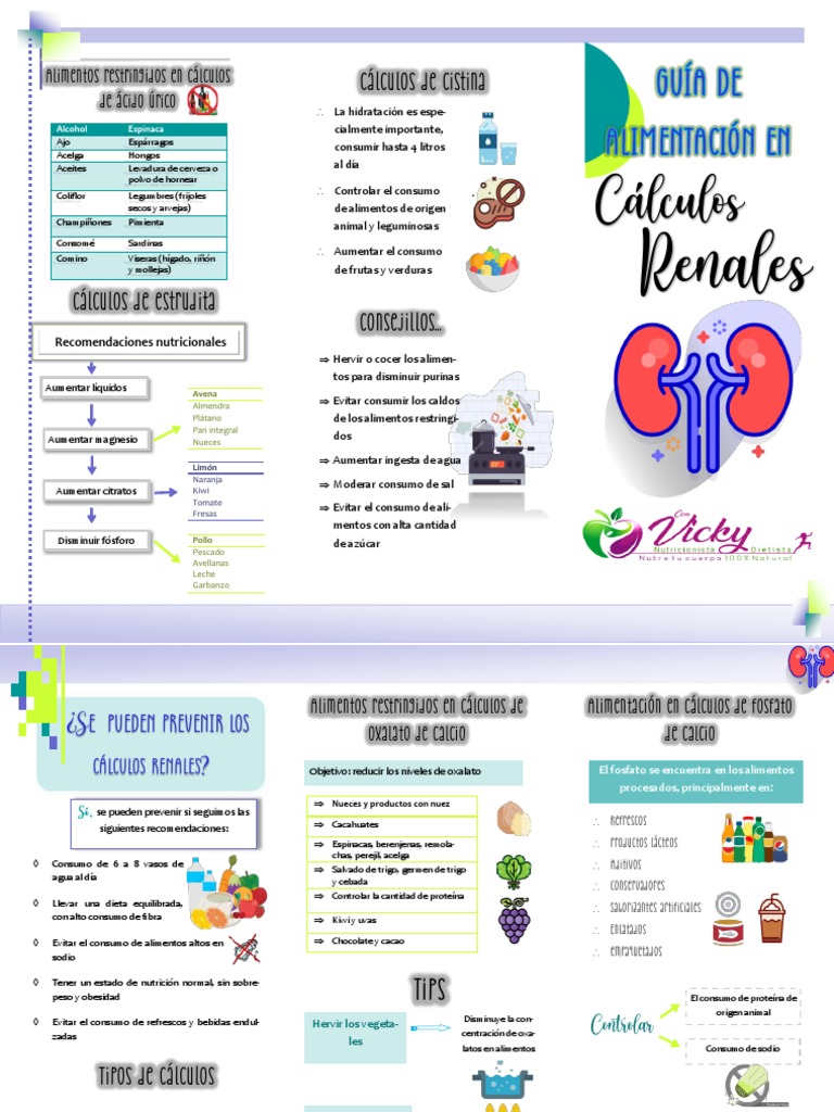 Calculos Renales Guía de Alimentación | PDF | Alimentos | Calcio
