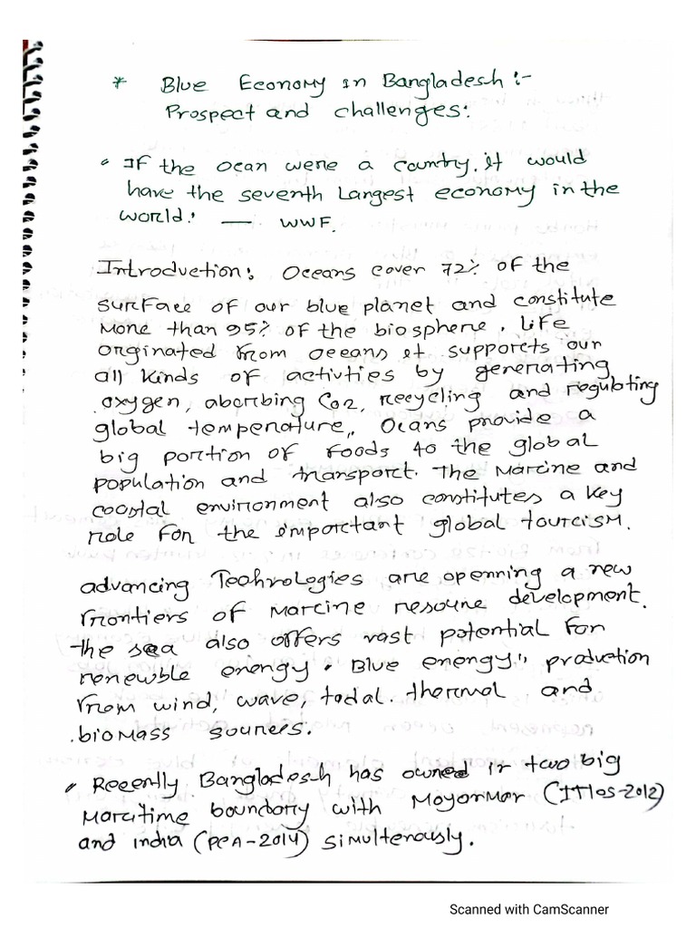 Blue Economy Essay | PDF