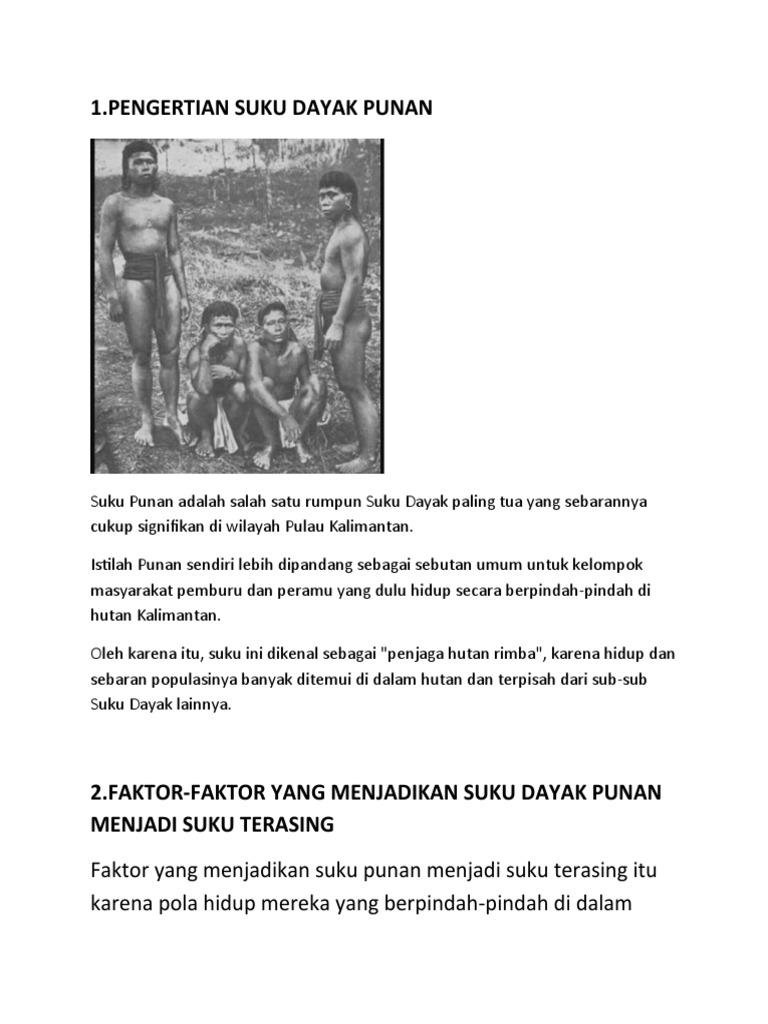 Suku Dayak Punan | PDF