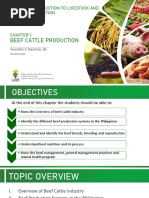 Swine Terminology | PDF | Pig | Livestock