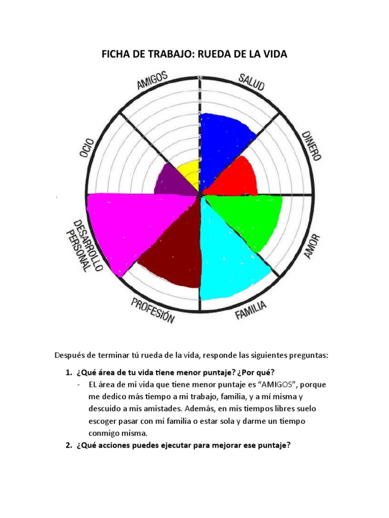 Rueda de la Vida: Reflexiones Personales | PDF | Estilo de vida