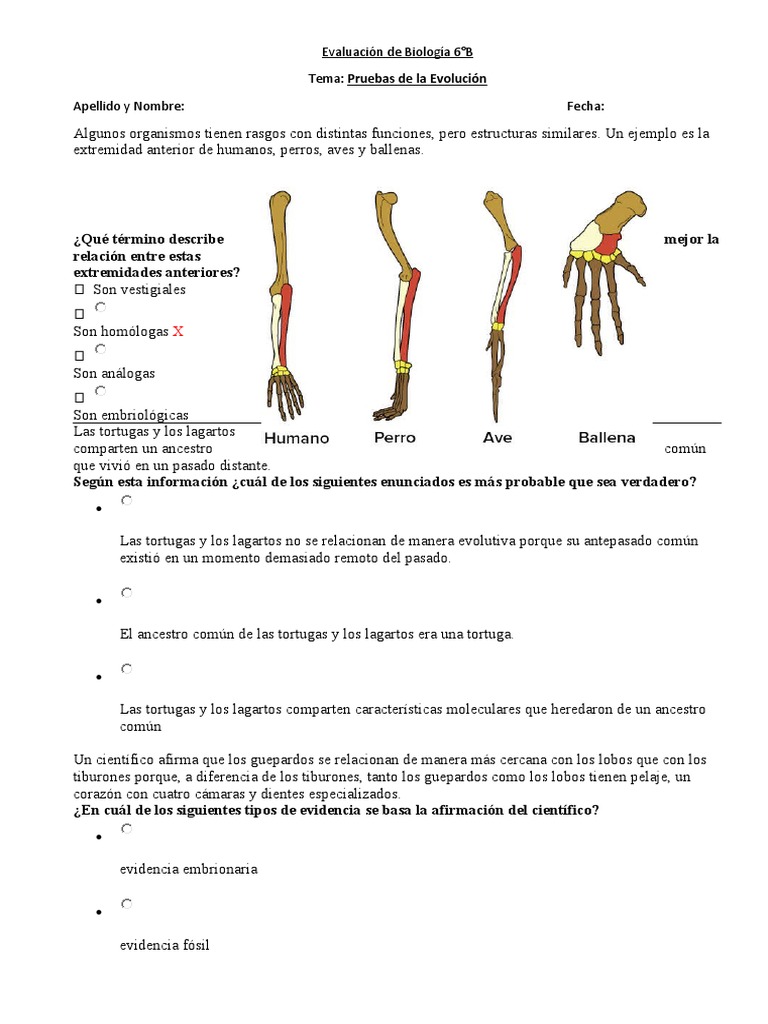 Analogías en la Evolución Biológica | PDF | Homología (biología ...