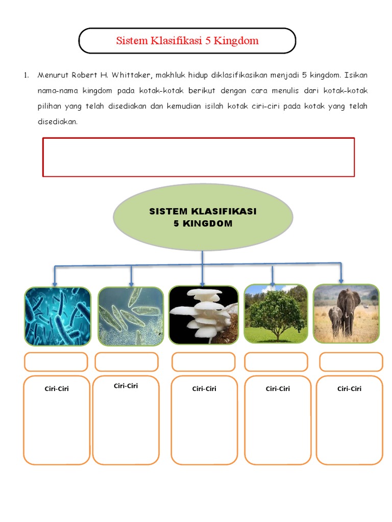 LKPD Klasifikasi 5 Kingdom | PDF LKPD Klasifikasi 5 Kingdom | PDF