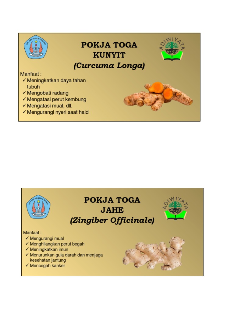 Label Tanaman Toga Cream | PDF | Memasak, Makanan, & Anggur | Kesehatan ...