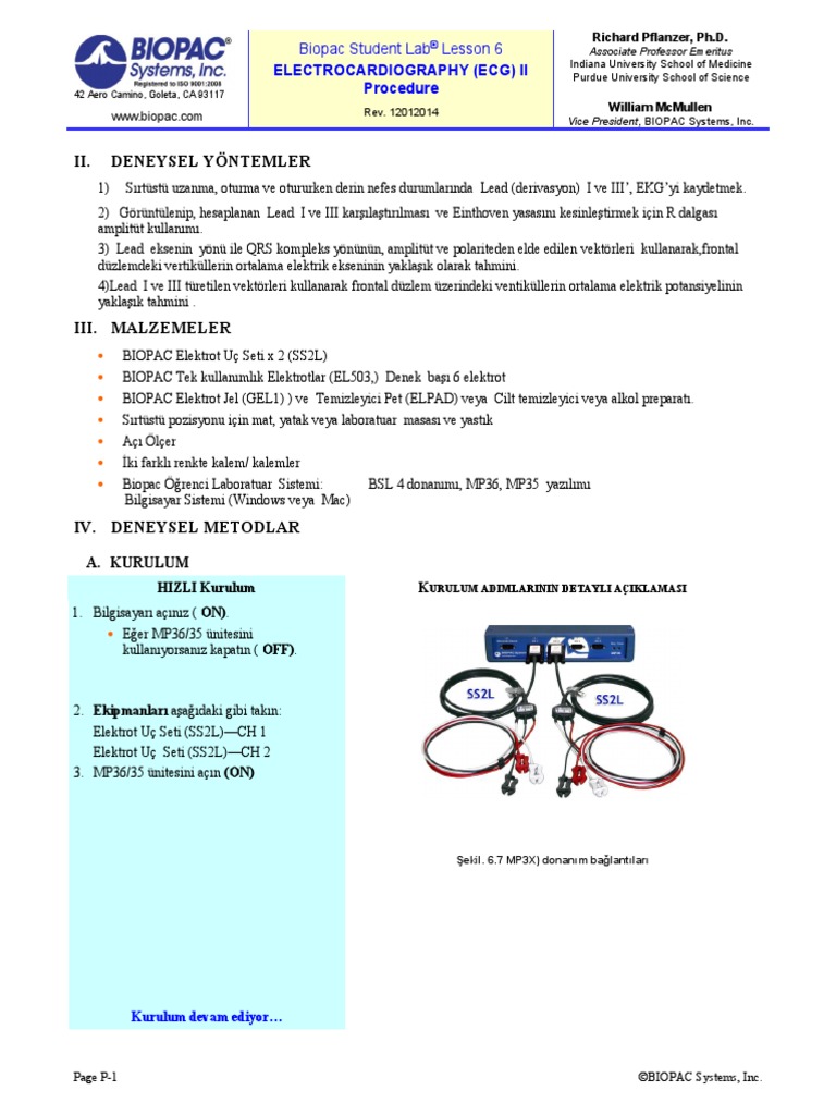 L06 Procedure Tercüme OK | PDF