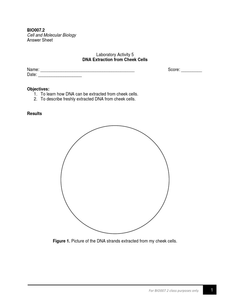 Cheek Cell DNA Extraction Lab Guide | PDF | Dna | Biotechnology