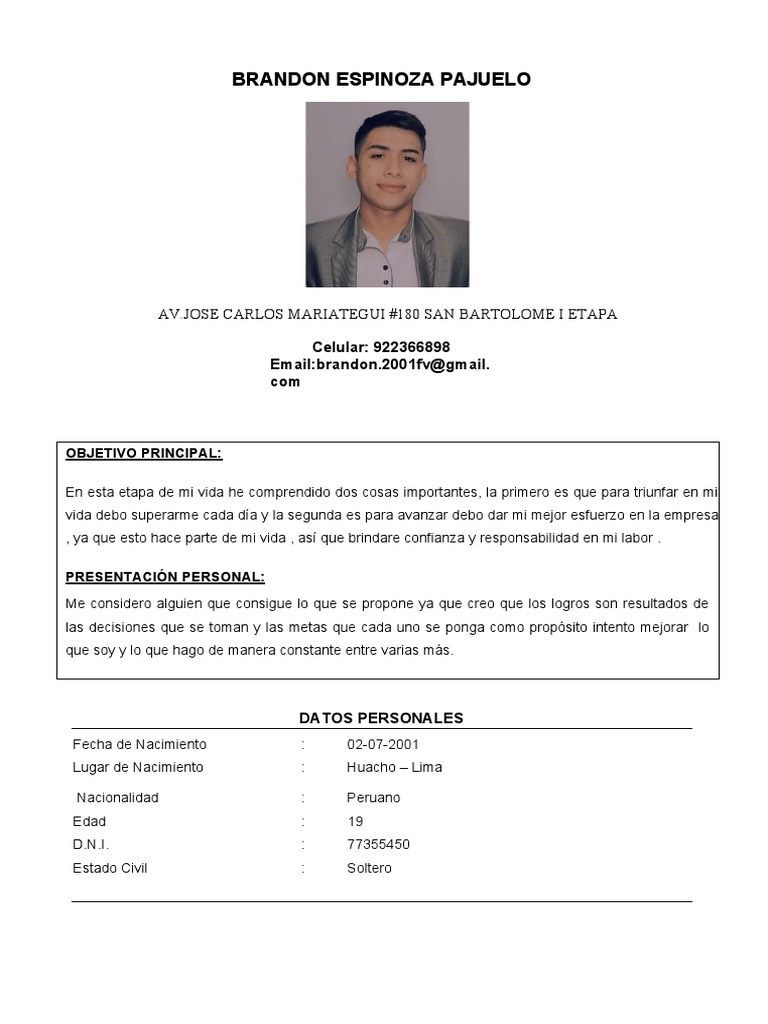 CV - Brandon | PDF | Perú