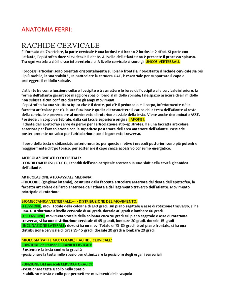 Appunti Anatomia 2 | PDF