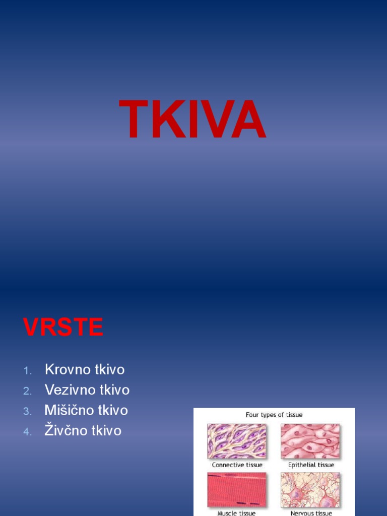 TKIVA | PDF