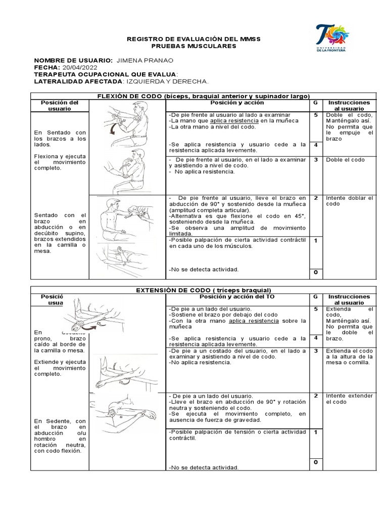 Registro Eva. MMSS de Pruebas Musculares | PDF | Codo | Mano