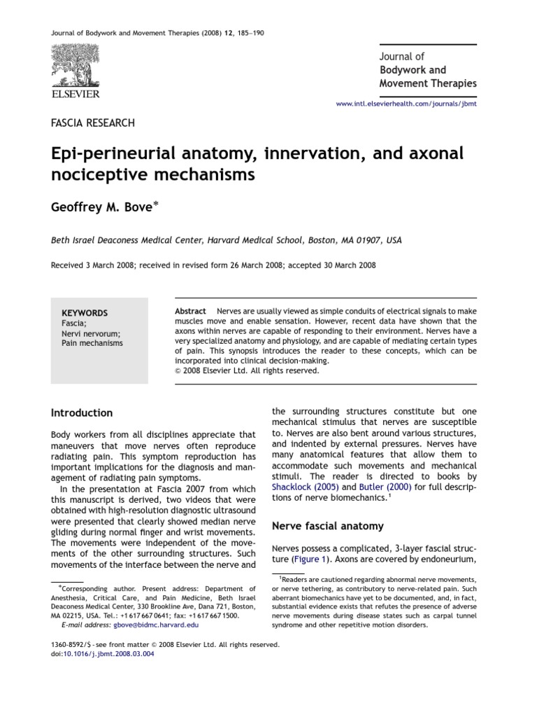 Epi Anatomy