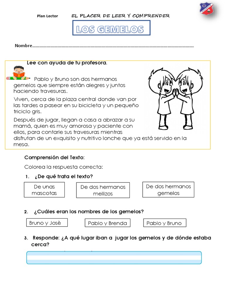 Ficha Plan Lector | PDF