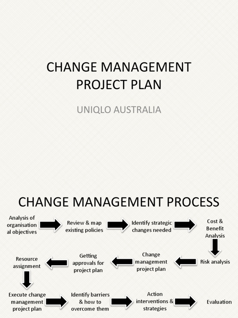 Change Management Plan | PDF | Change Management | Target Audience