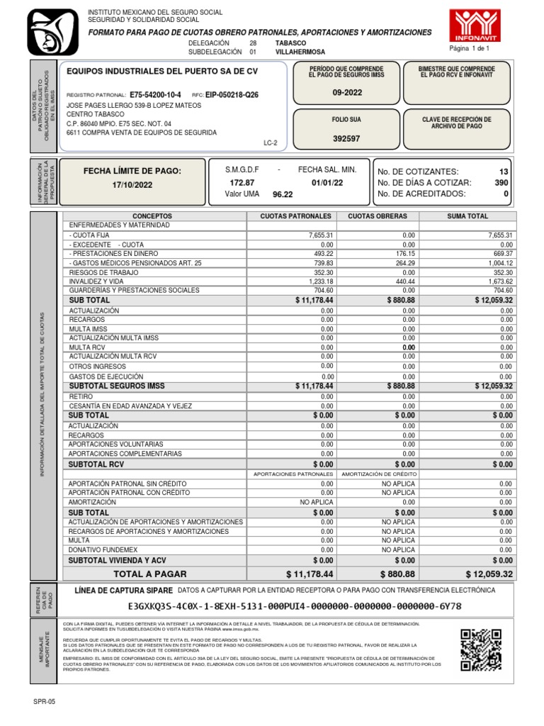 Formato de Pago Cuotas IMSS | PDF