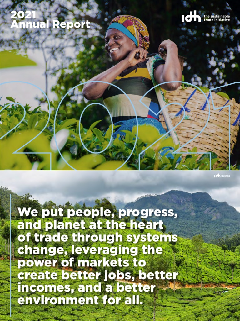 IDH Annual Report 2021: Systems Change Focus | PDF | Governance ...