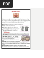 Triangulo de Farabeuf | PDF | Anatomía humana | Cabeza y cuello humanos