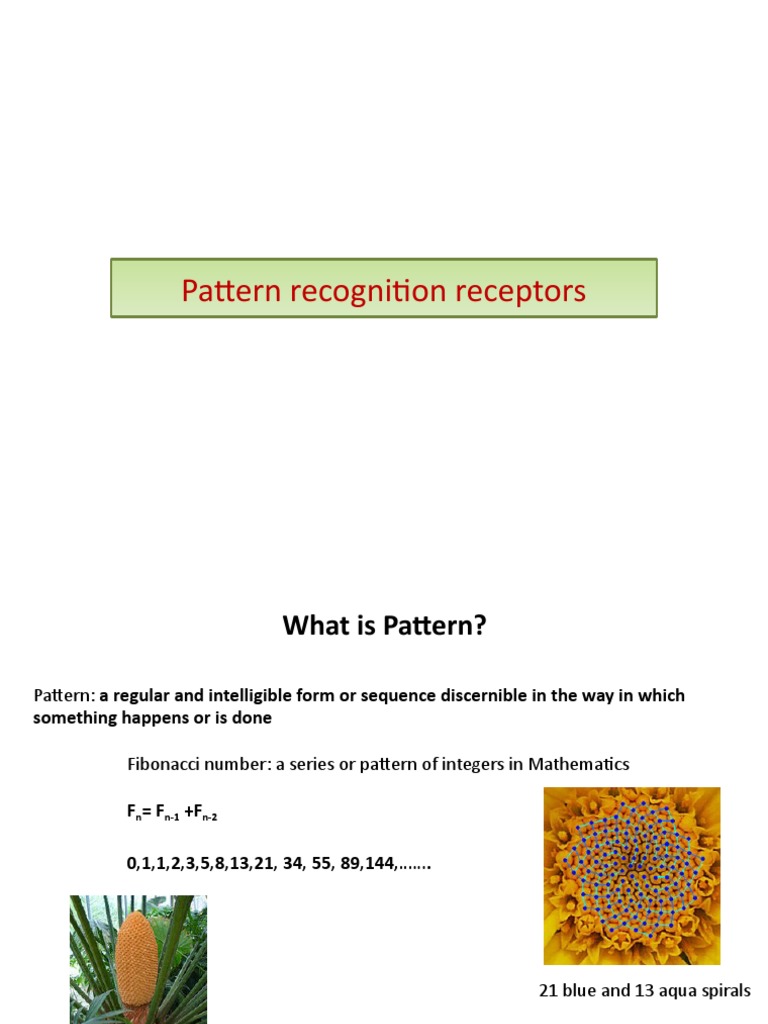 Pattern Recognition Receptors | PDF | Toll Like Receptor | Immune System