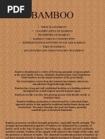 African Bamboo Species | PDF | Bamboo | Plants
