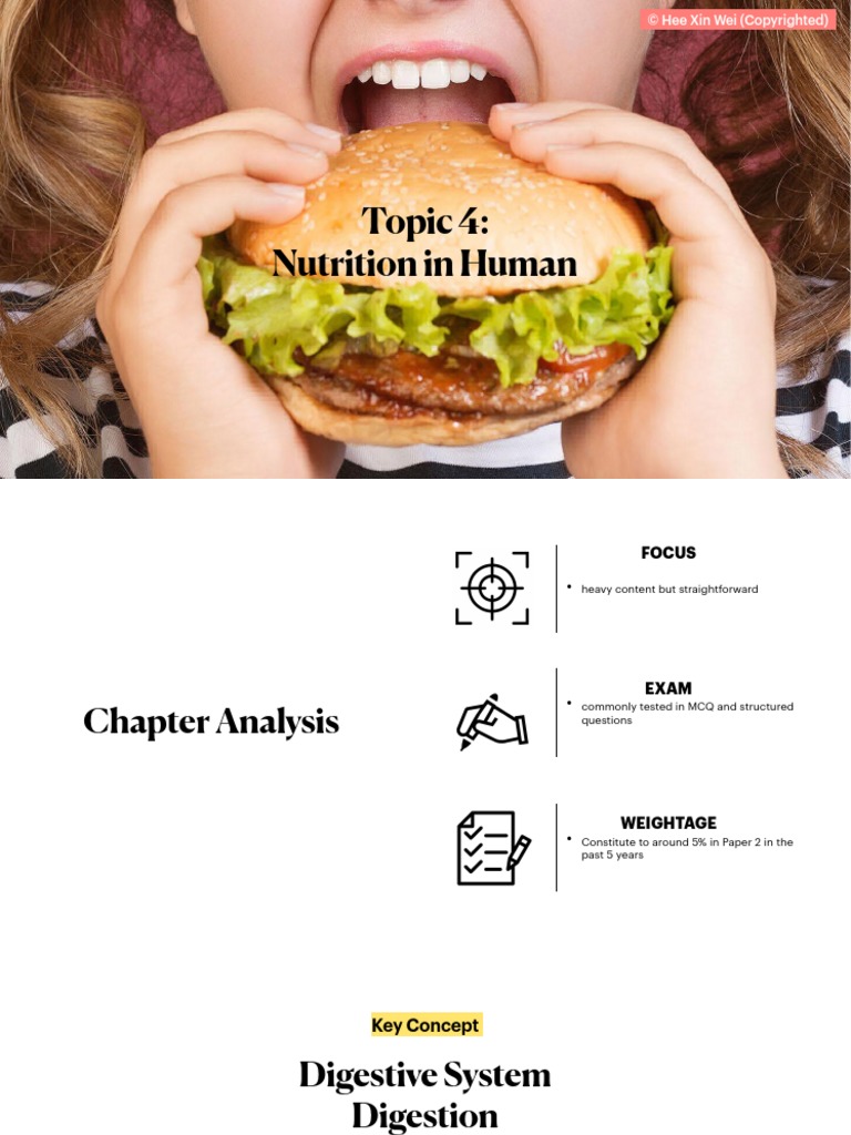 (BIO) Chapter 4 - Nutrition in Human | PDF | Stomach | Digestion