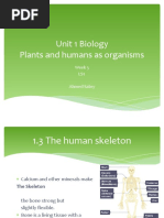 Science Year 7 Cambridge Presentation Powerpoint Unit 5 Part 1 | PDF | Gases | Liquids