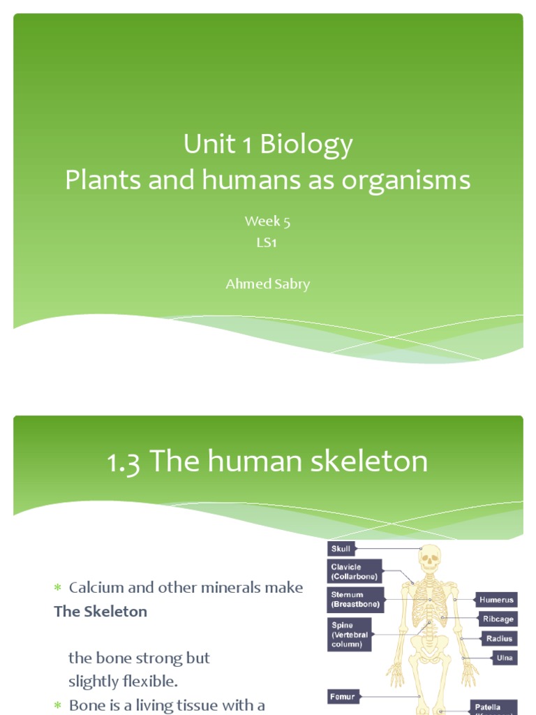Science Year 7 Cambridge Presentation Powerpoint Unit 1 Part 2 | PDF ...
