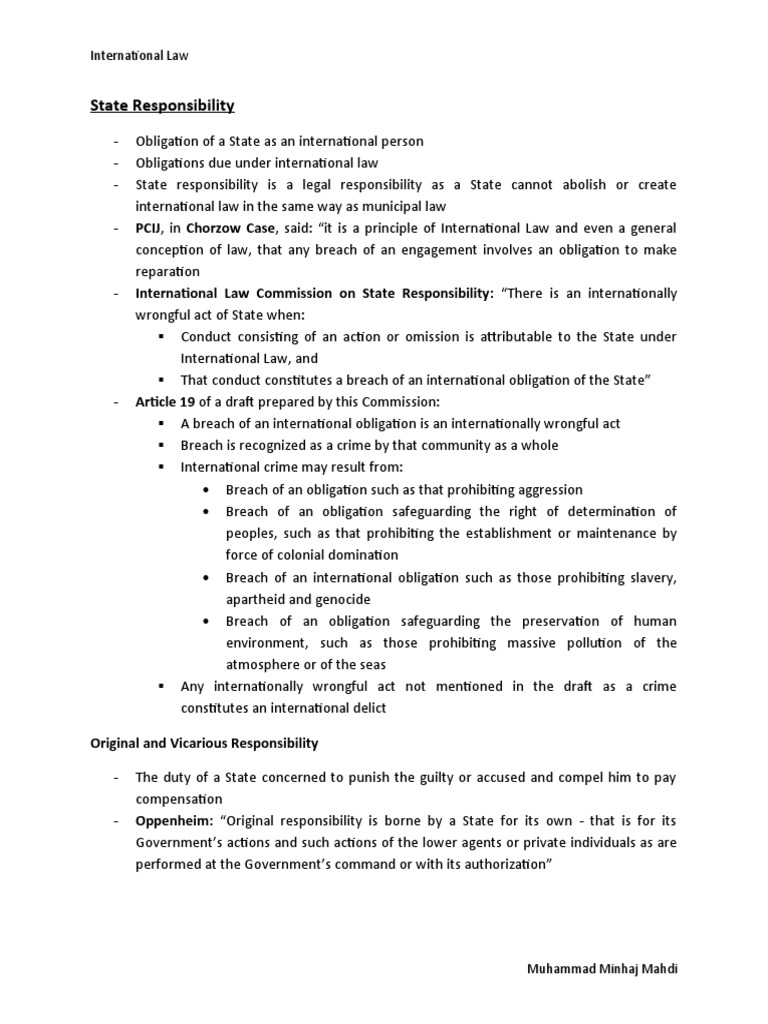 State Responsibility | PDF | Social Institutions | Political Science