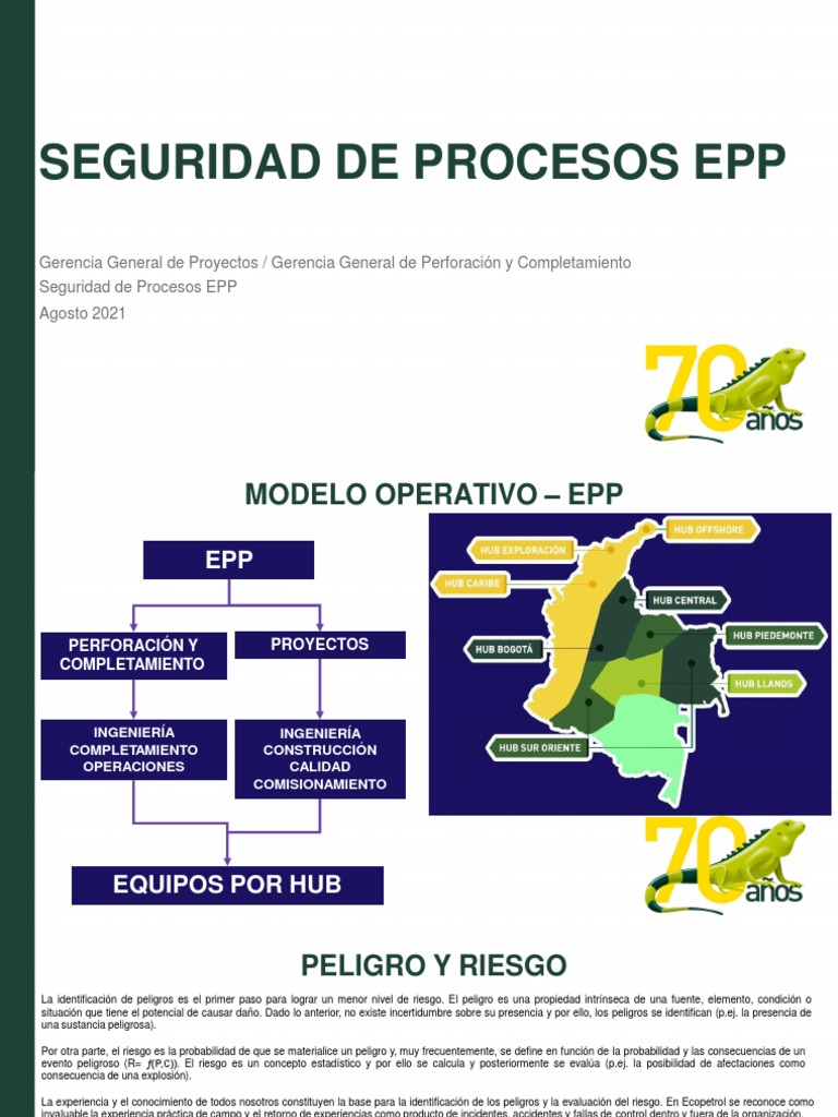 Seguridad de procesos EPP | PDF | Riesgo | Valores