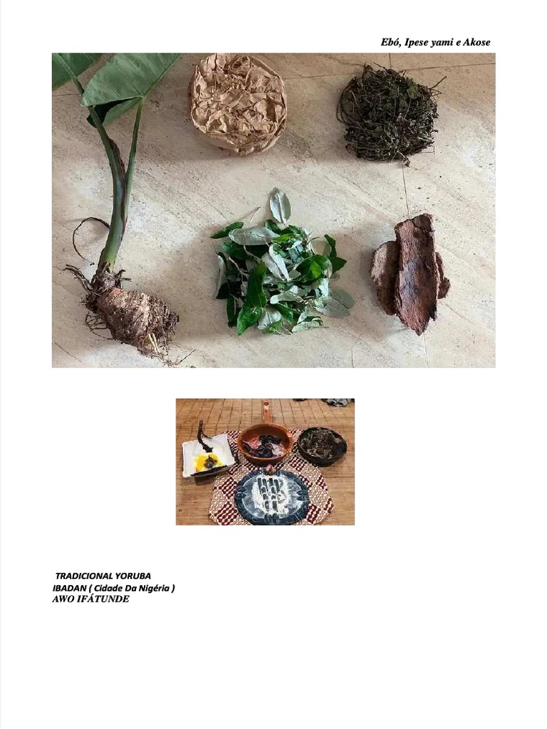 Ebo Ipese Akose | PDF