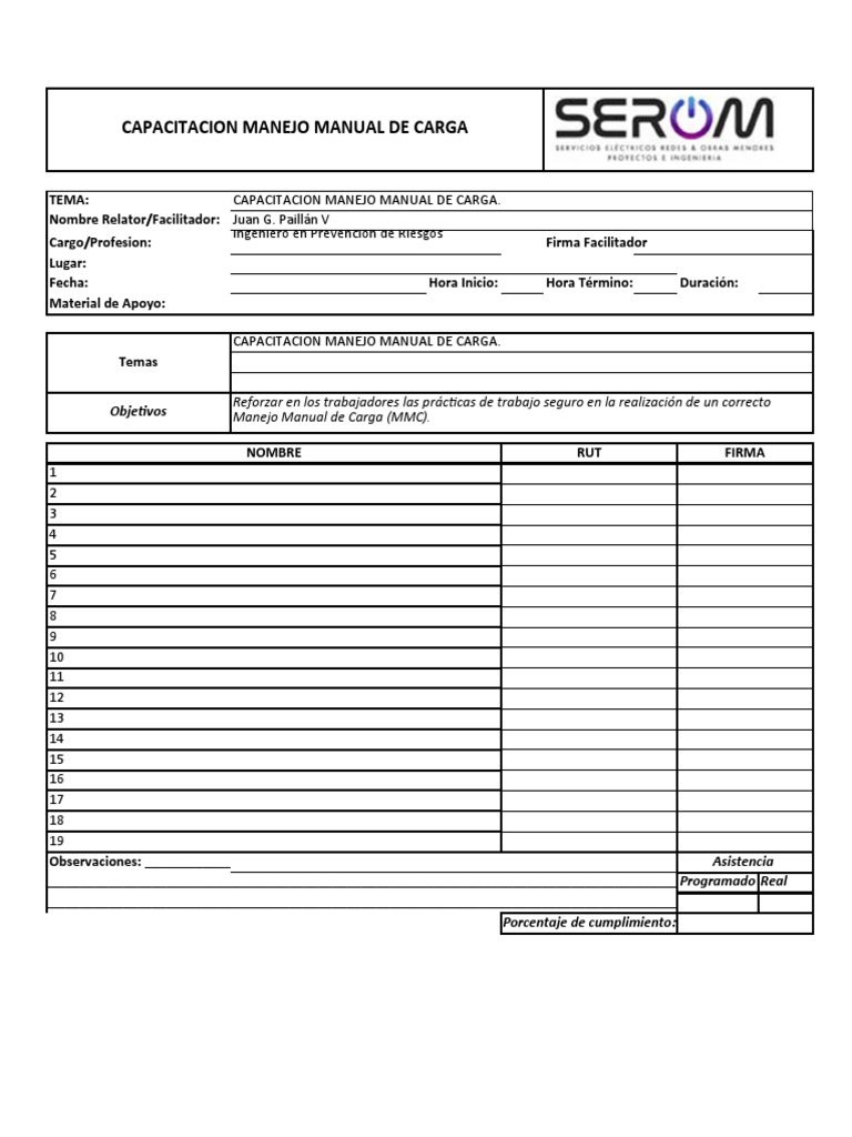 Capacitación en Manejo de Carga EPP | PDF | Microsoft Excel | Microsoft ...