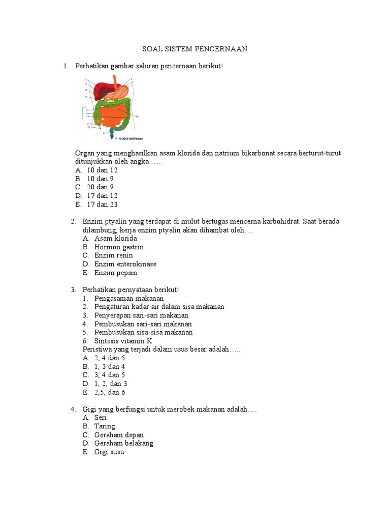 Latihan Soal Sistem Pencernaan | PDF